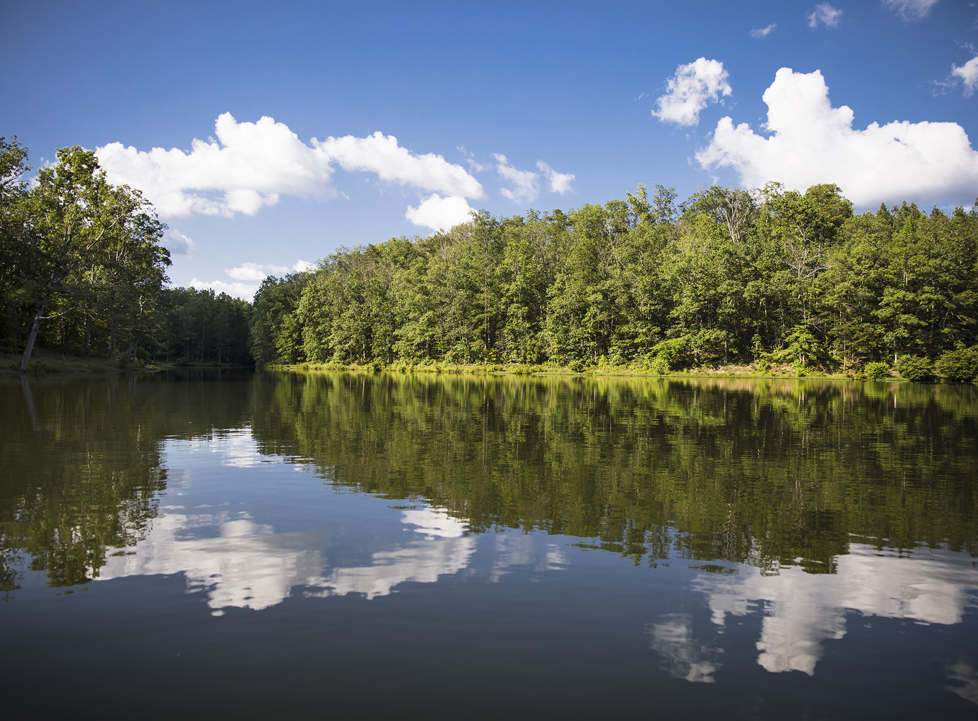 Take a tour of the incredible Veranda Show House on Lake Martin ...